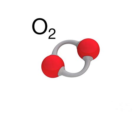 O2 Molecule