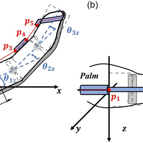 The One‐finger Kinematic Model A Front View B Top View Download Scientific Diagram
