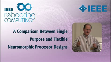 a comparison between single purpose and flexible neuromorphic processor