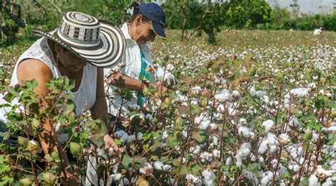 La Crisis De Coltejer Y La Política Industrial De Colombia Razón Pública