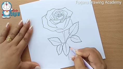 نقاشی گل رز جعبه