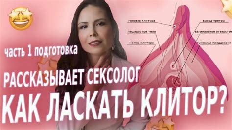Как ласкать клитор Как довести девушку до оргазма Что такое клитор и как выглядит