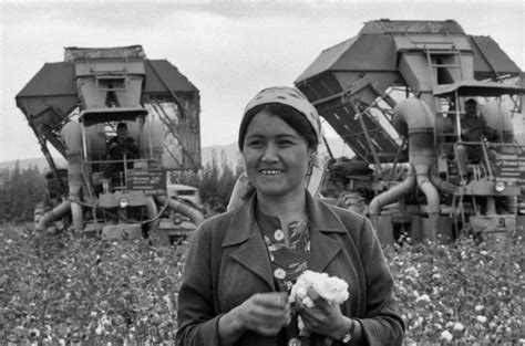 Рабочие и колхозники 10 реальных фото жизни на заводах и в колхозах Советского Союза