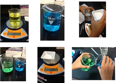 Introduction To Density Lab Marine Science My Luong