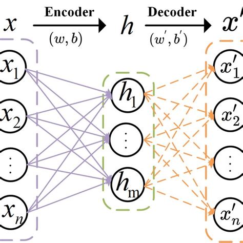 The Structure Of Ae Download Scientific Diagram