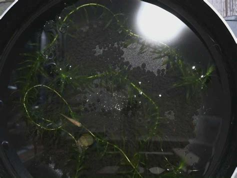 Raspberry Pi Official Magazine Rpimagmastodonsocial Mastodon