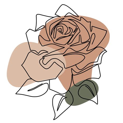 Aesthetic Rose Line Art Collection 21445443 Png