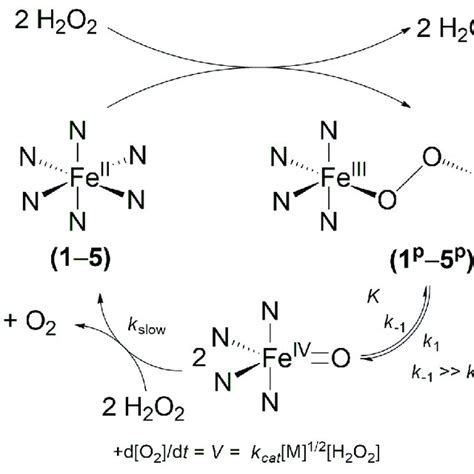 Comparison Of The 3 P 5 P Mediated Disproportionation Reaction Of Download Scientific Diagram