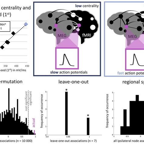 Schematic Representation Of Multi Scale Analyses In A Cellular Download Scientific Diagram