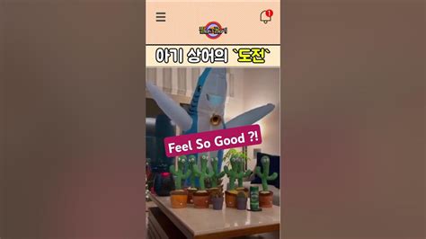 아기 상어의 마지막`도전` Youtube