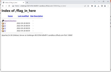ctfhub练习 b xcy s blog