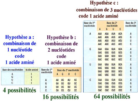 Type De Codage