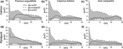 Cross Type Pair Correlation Functions Gr D R Showing Spatial Download Scientific Diagram