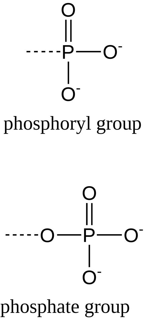 Dihydrogen Phosphate Ion Lewis Structure