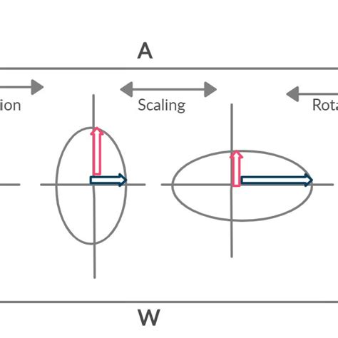 Geometrical Representation Of SVD Download Scientific Diagram