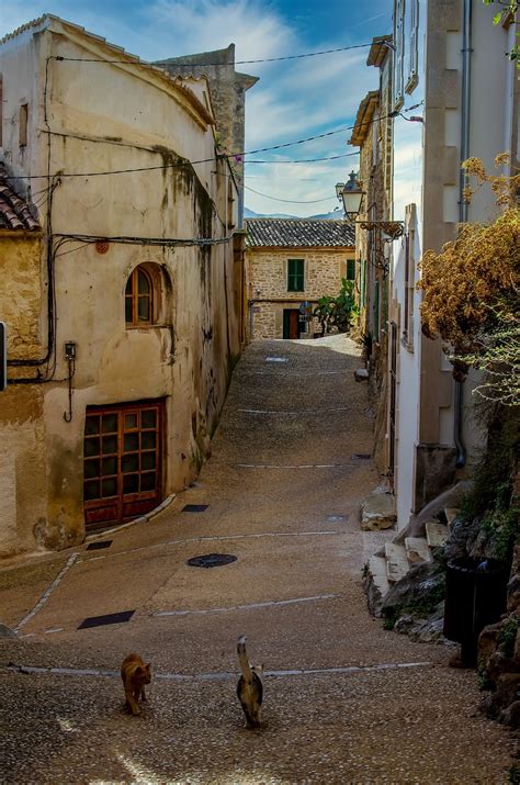 Alee Piatra Naturala Pavaj Centru Fotografie Gratuită Pe Pixabay Pixabay