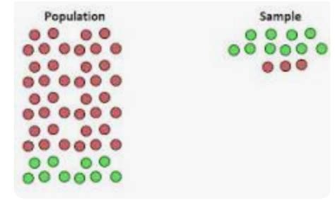 Stats Types Of Bias Biased Sampling Class 1 Flashcards Quizlet