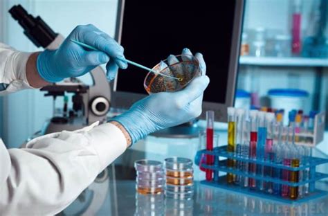 The Effect Of Different Antibiotics On Bacteria Snab Biology