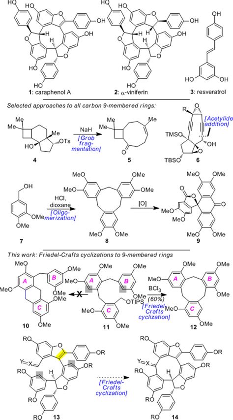 9 Membered Carbocycle Formation Development Of Distinct Friedelcrafts