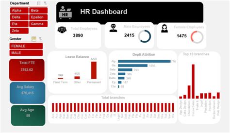 Create A Professional Interactive Excel Dashboard By Shabanajabeen Fiverr