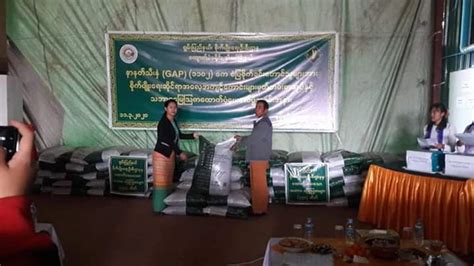 သီပေါမြို့နယ်တွင် နာနတ်သီးစိုက်တောင်သူများအား သဘာဝမြေသြဇာထောက်ပံ့ပေးအပ