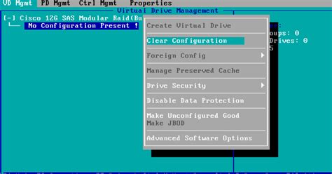 Rivald S Blog Setting Up RAID Volumes On Cisco UCS C Series With Avago LSI MegaRAID Controllers