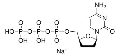 Dideoxynucleoside Triphosphate Set Sequencing Grade Sodium Salt Sigma Aldrich