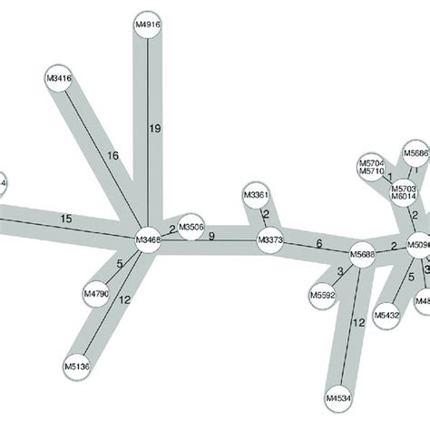 Ridom Seqsphere Cgmlst Minimum Spanning Tree Of A 5 Year Long