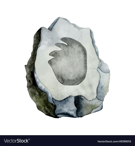 Diplodocus Footprint Herbivore Dinosaur On Stone Vector Image