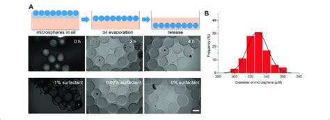 Generation And Extraction Of Hydrogel Microspheres A Schematic Download Scientific Diagram