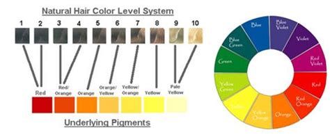How To Color Your Hair At Home Color Your Hair Hair Color Hair