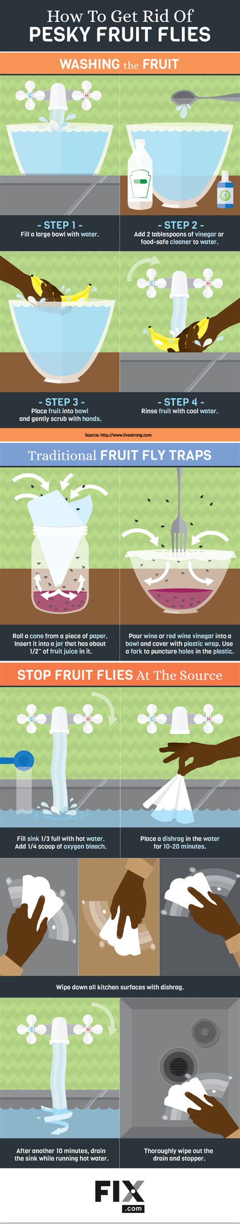 How To Really Get Rid Of Pesky Fruit Flies
