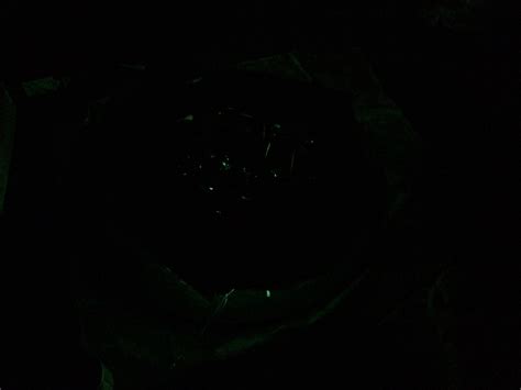 Static Radioactive Bone Pit Halloween Forum