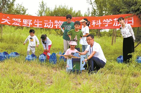 10只被救护野生鸟在北京放归自然国内动态资讯园林绿化网
