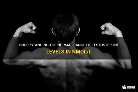 Understanding The Normal Range Of Testosterone Levels In Nmoll Medshun