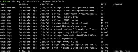 `rad Env Init` For Self Hosted Is Taking Too Long To Initialize ~34
