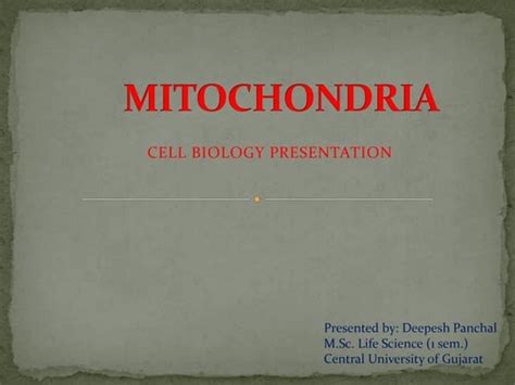 Mitochondria Introduction Function And Structure Ppt