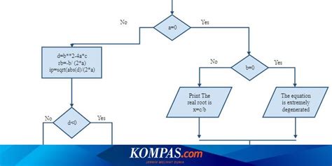 Jenis Jenis Algoritma Dan Contoh Contohnya