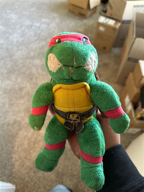 As A 36 Year Old Man This Little Dude Has Moved With Me Everywhere Ive Ever Lived Rtmnt