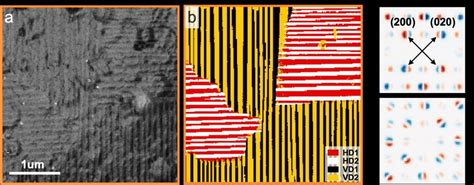 unsupervised learning of 4d data on 2d snse a virtual adf image of download scientific