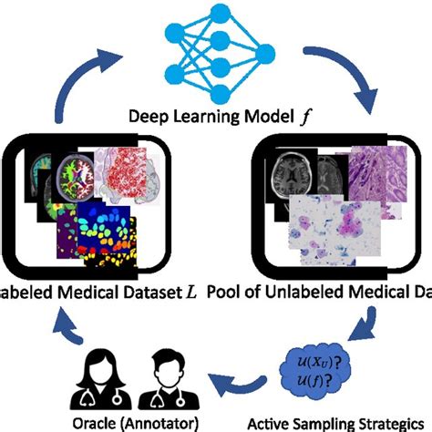 Pdf Label Efficient Deep Learning In Medical Image Analysis