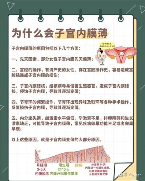 备孕二胎子宫内膜薄怎么办，着床困难怎么办？ 知乎