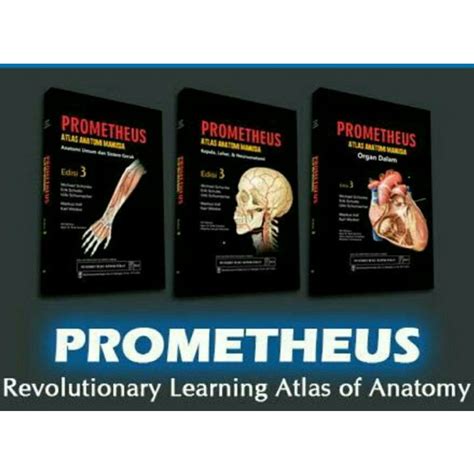 Jual Must Have Buku Prometheus Atlas Anatomi Manusia Terbaru Shopee