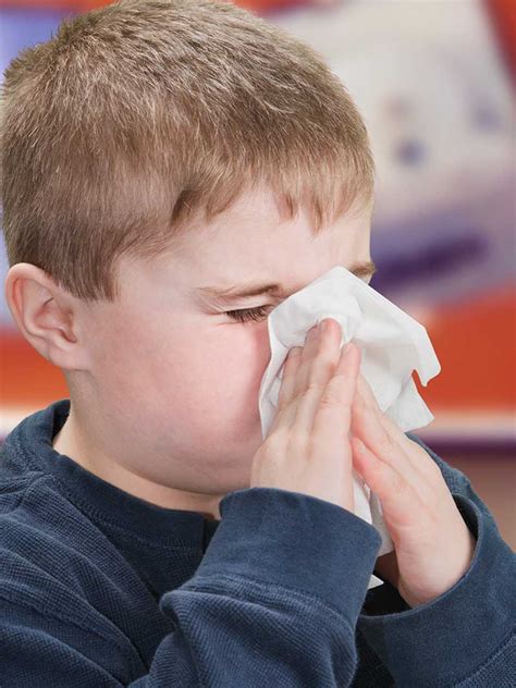 Flu Season Get Prepared The West End News