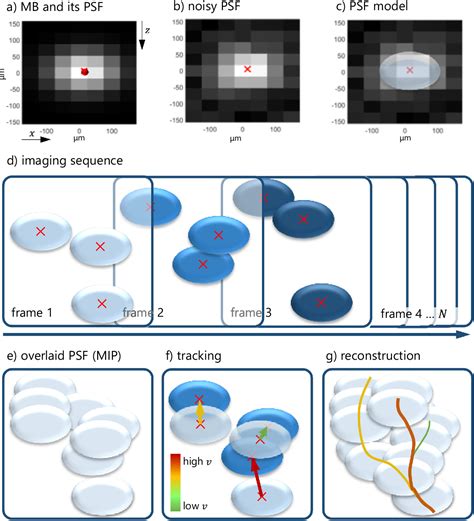 Figure 3 From Ultrasound Localization Microscopy Semantic Scholar