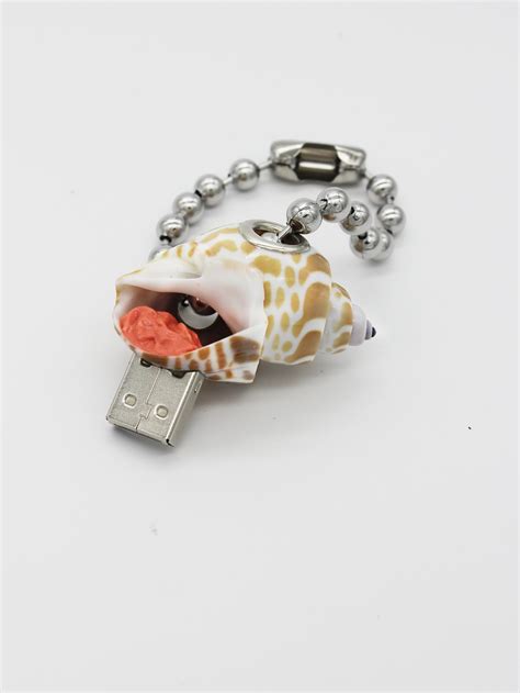 USB Shell Corrina Goutos