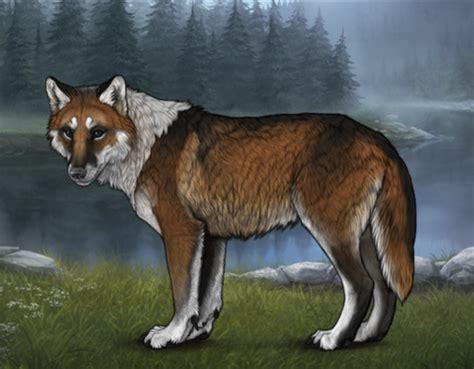 83 Aab4 Dd 02 Da 408 F 92 B4 10 Ca7 B8 A0 E09 Hosted At Imgbb — Imgbb