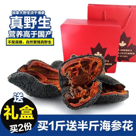 帶你了解加拿大海參海參為什麼會美容 每日頭條
