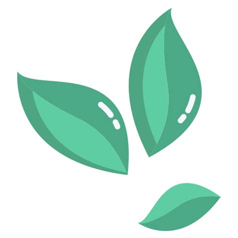 Coca Leaves Icongeek26 Flat Icon