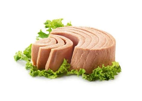 خرید تن ماهی شیلتون امروز ۰۴ آبان